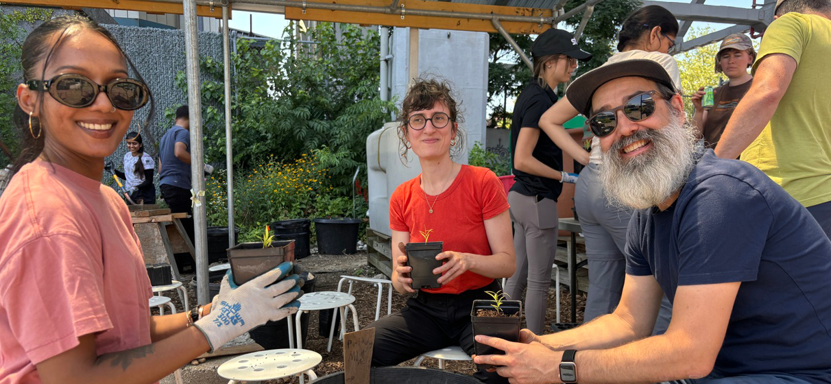 STV Green Thumbs Take Center Stage at Community Event in Brooklyn - STV